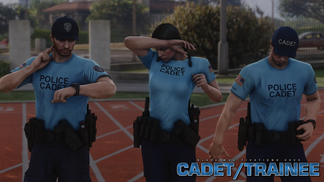LSPD REMASTER COLLECTION PACKAGE – BlazeModifications