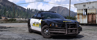 Mini SSPD livery package – BlazeModifications