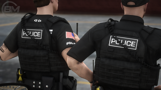 POLICE PLATE CARRIER – BlazeModifications