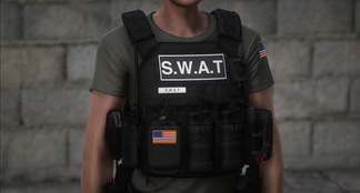 POLICE PLATE CARRIER – BlazeModifications