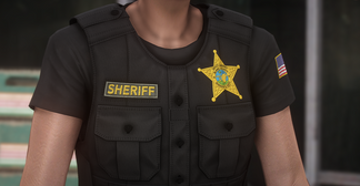 POLICE PATROL VEST – BlazeModifications