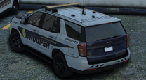 SAST LIVERY PACKAGE – BlazeModifications
