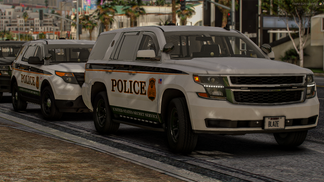 SECRET SERVICE LIVERY PACKAGE – BlazeModifications